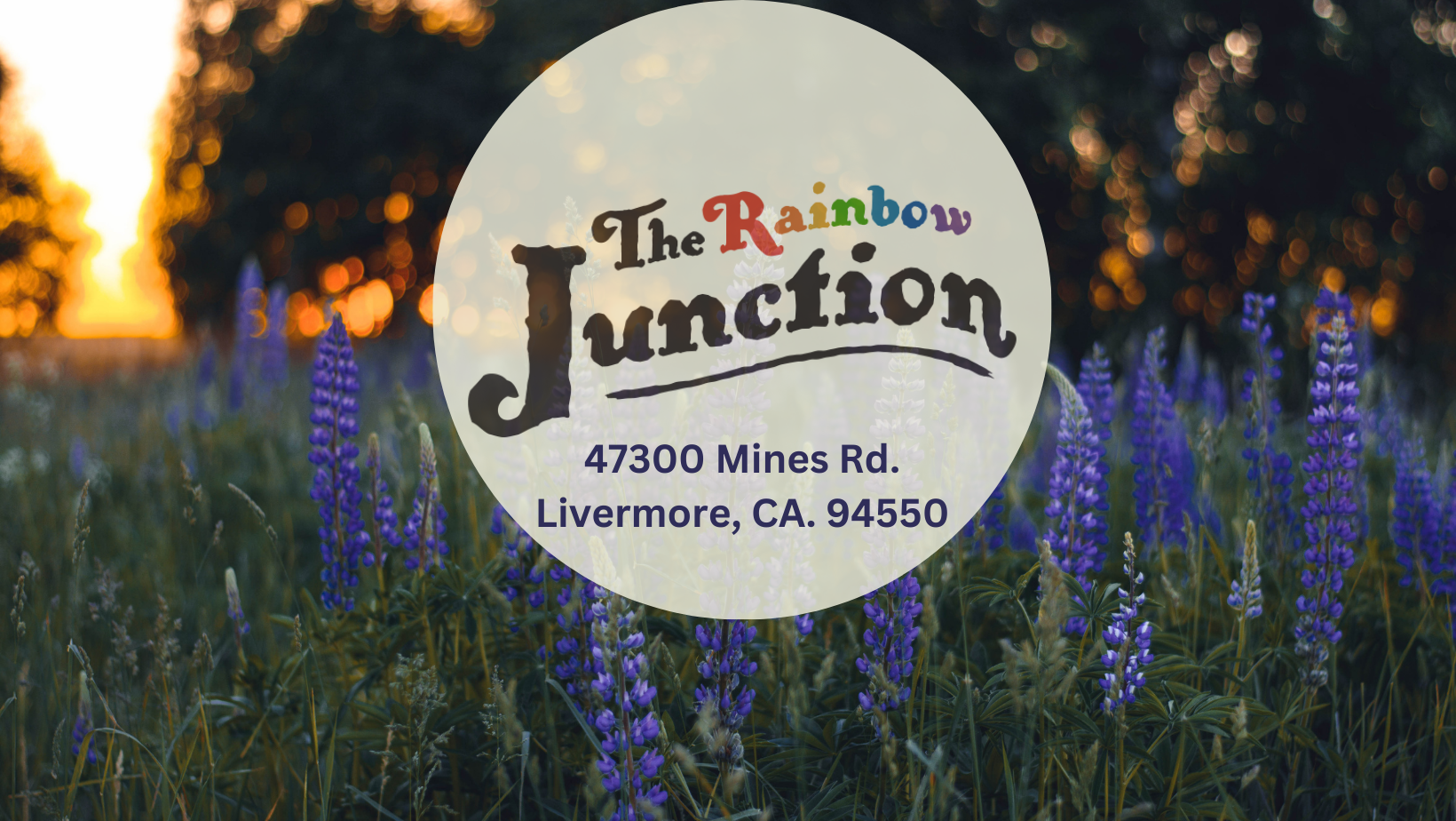 The Rainbow Junction Farm