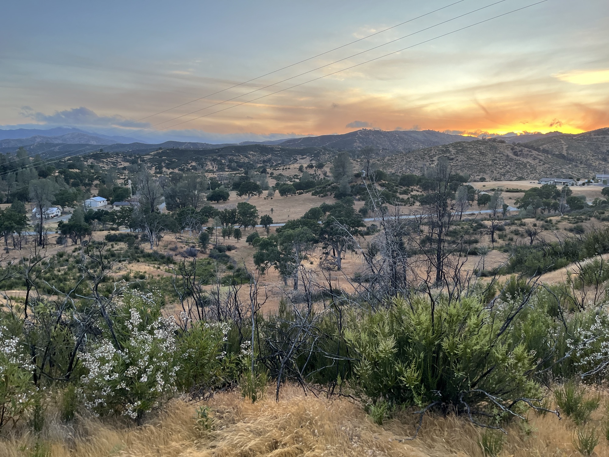 We’re on HipCamp – The Rainbow Junction Farm